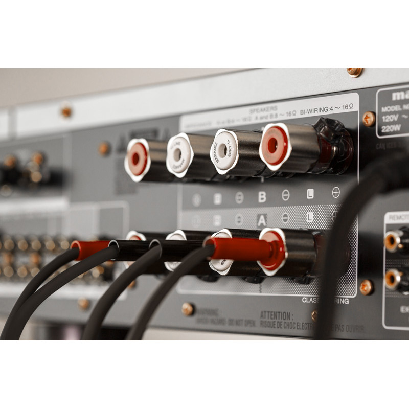 MARANTZ MODEL 50 | Amplificateur HI-FI FINITION Argent
